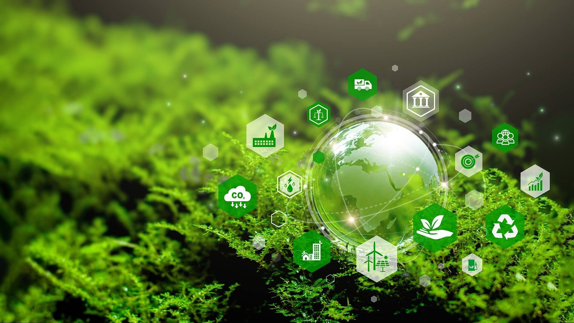 How Efficient, Diverse Renewable Energy Supply Chains Drive Production