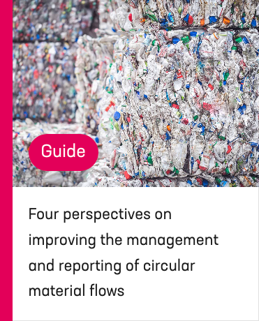 Guide - Four perspectives on improving the management and reporting of ...
